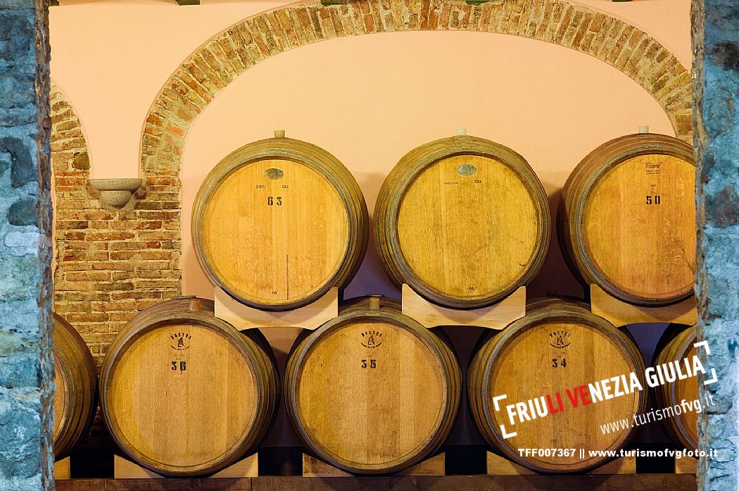 Tenuta Beltrame Winery, ITALIA, FRIULI VENEZIA GIULIA,UDINE | PHOTOFVG